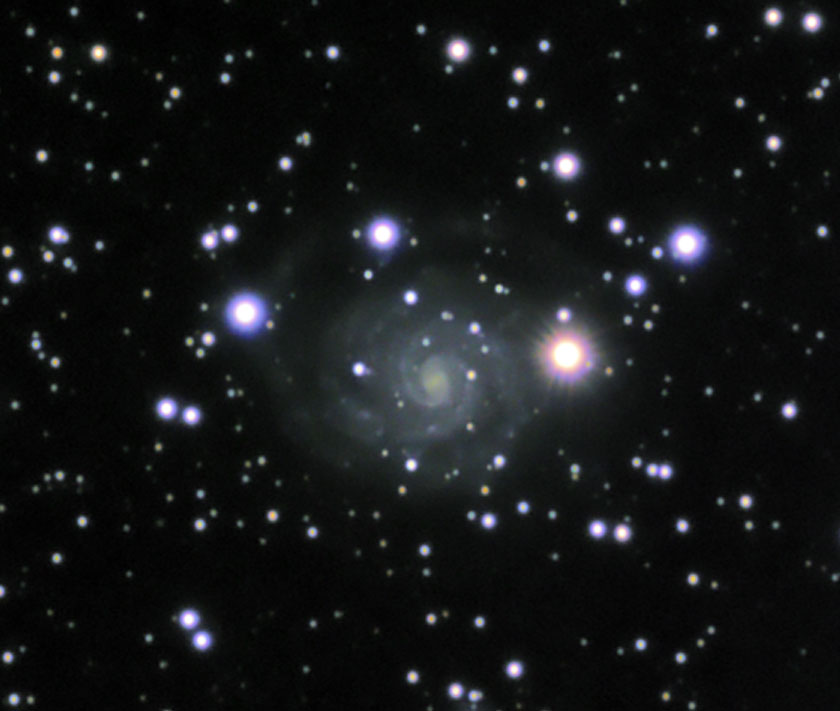 IC 239